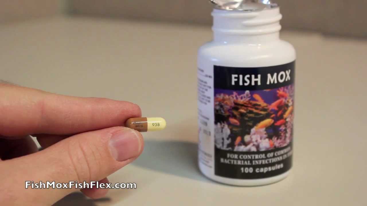 Stock Emergency Antibiotics (Fish Antibiotics for Human Use) - Survive ...