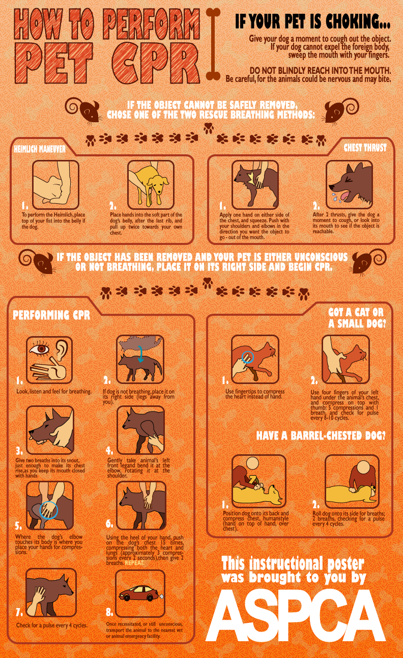 Free Printable Pet CPR and Emergency Dog & Pet Medical visual aids: How ...
